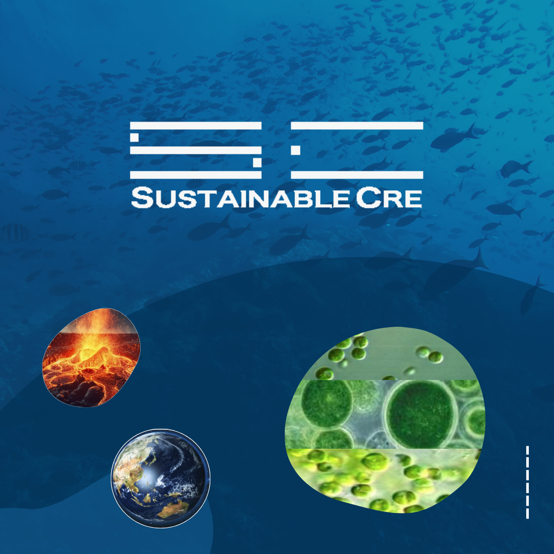 SC&CO. | 地球と人の持続可能な美と健康の創造プロジェクト